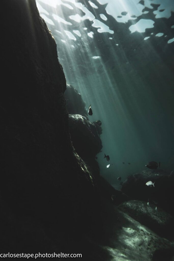 Scuba Diving in Baja California Sur, Mexico – Palapas La Ventana
